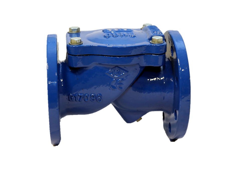 ISV Swing Check Valves | AxFlow